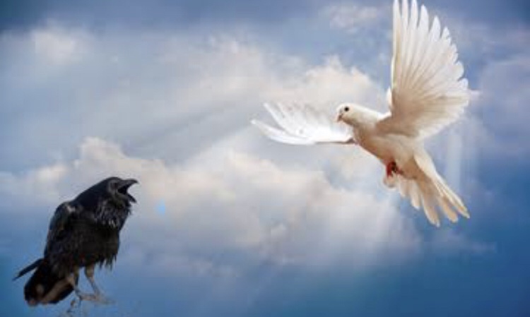 The Dove, the Raven, and the Second Coming – Kingdom Blog
