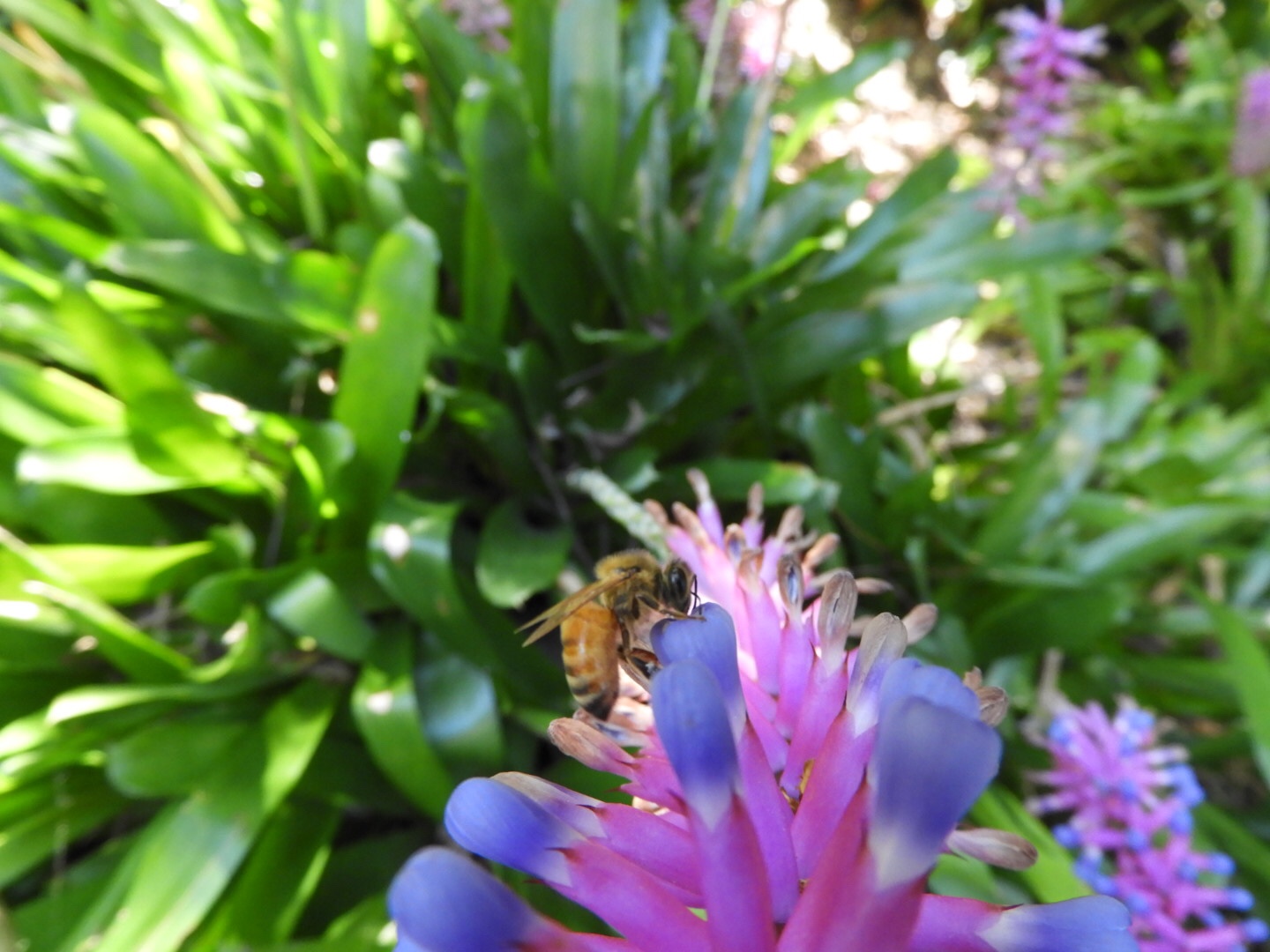 The overflow – Kingdom Blog