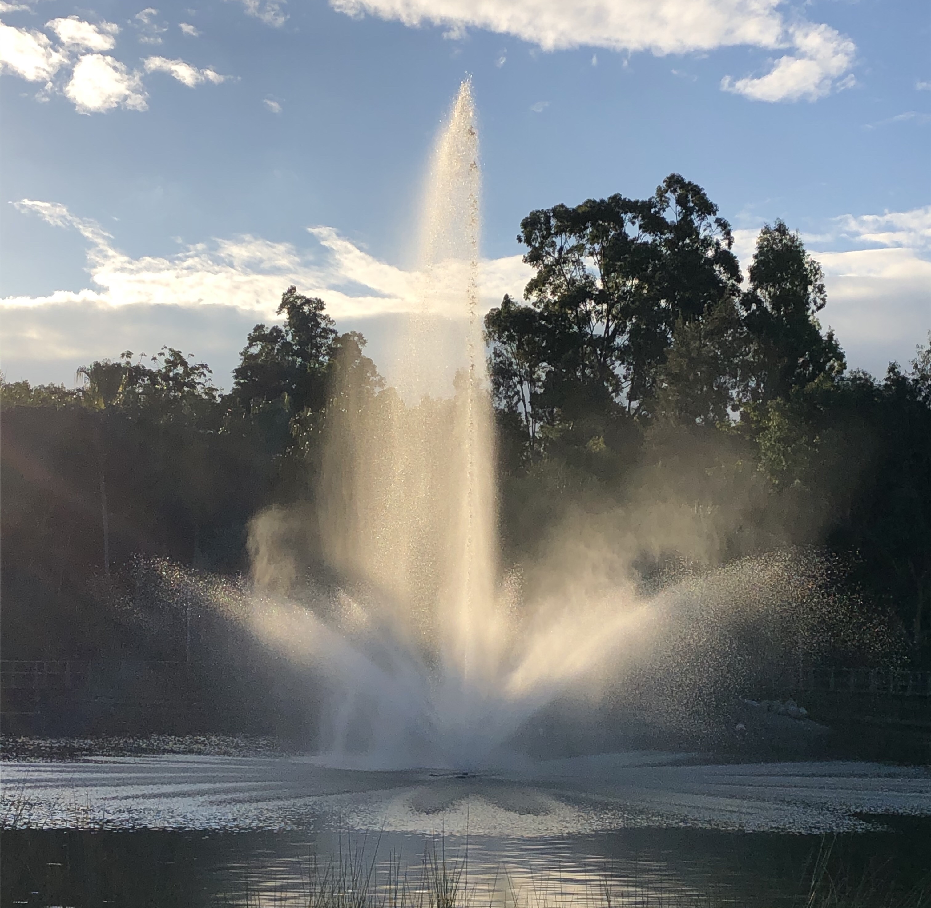 Fountain of life – Kingdom Blog