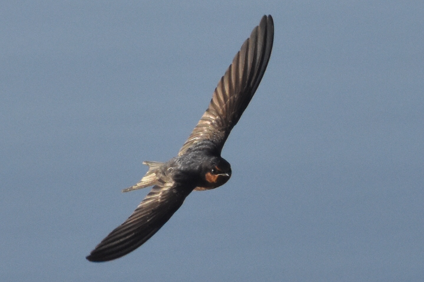 Set free from curses – Kingdom Blog